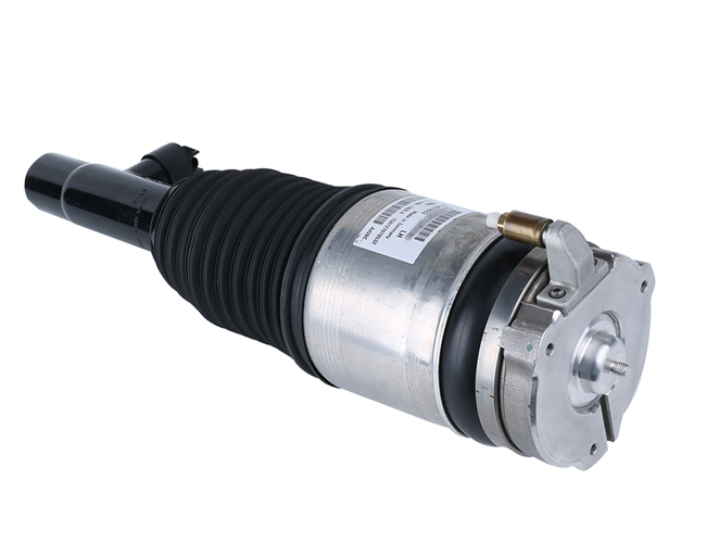 31451833 Automobile Suspension Parts Air Strut Womala For for